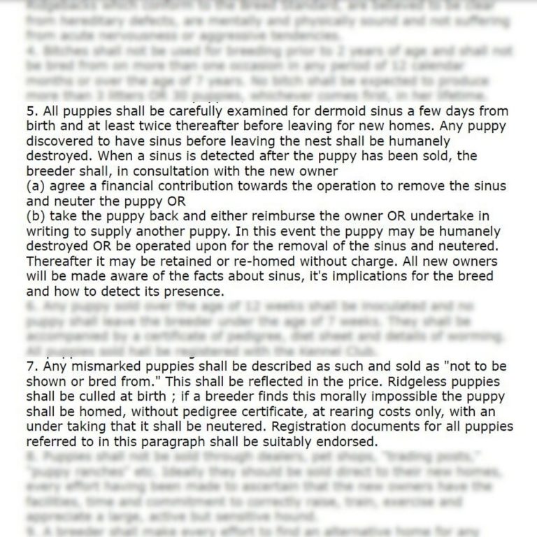 Understanding Ridgeback Genetics | Coats and Colors