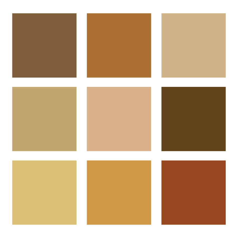 Basic Genetics Terms | Coats and Colors